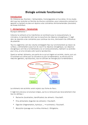 Les Ecdysozoaires - Résumé Biologie animale - Bilatériens ...