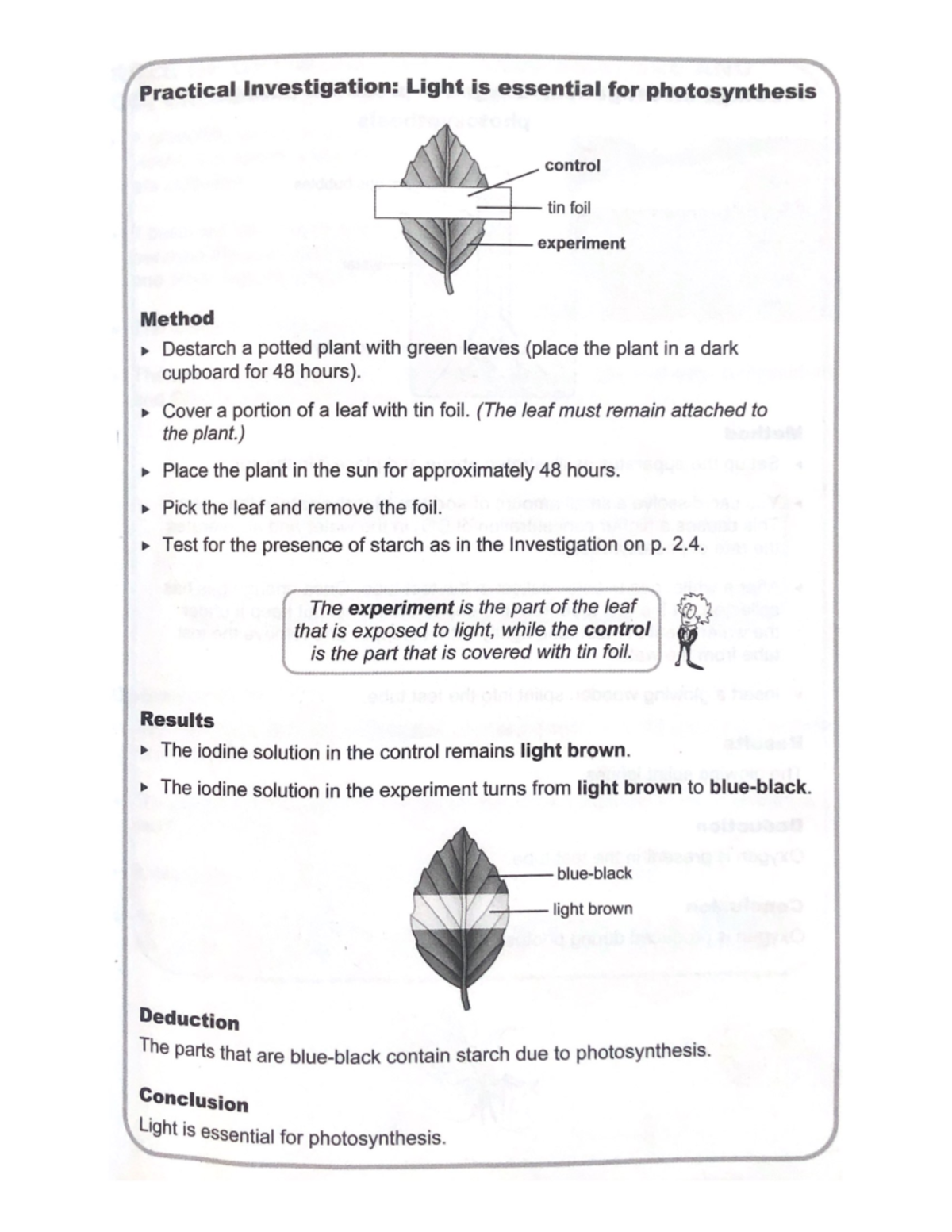 Practical Investigation Light is essential for photosynthesis - Studocu