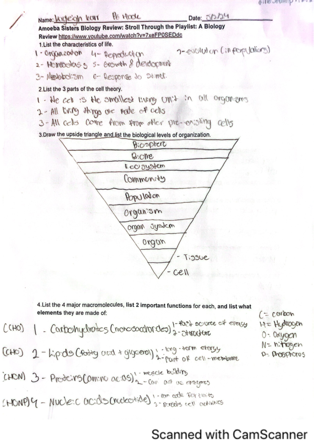 Cam Scanner 05-06-2024 22 - Name: layleigh karr P6 Hode Date: Amoeba ...
