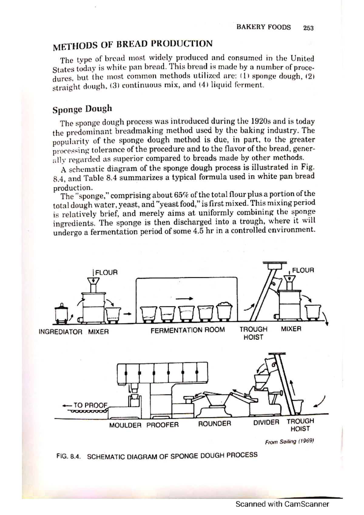 Continuous bread-making - Food technology - Studocu