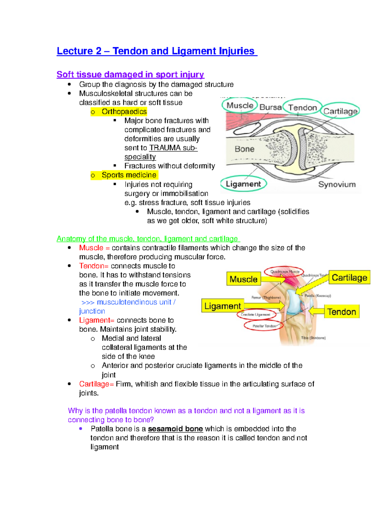 Week 2 - revision notes - Lecture 2 Tendon and Ligament Injuries Soft ...