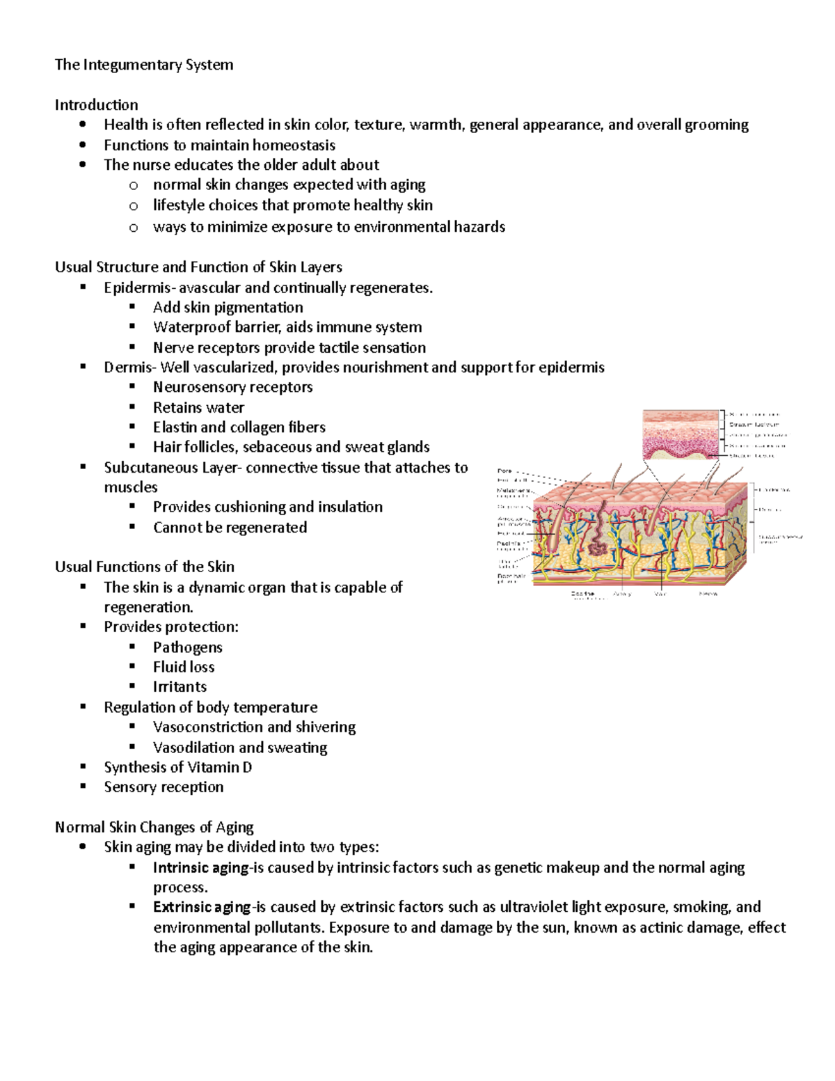 2020-Nurs421 Gero Integumentary System lecture notes - The ...