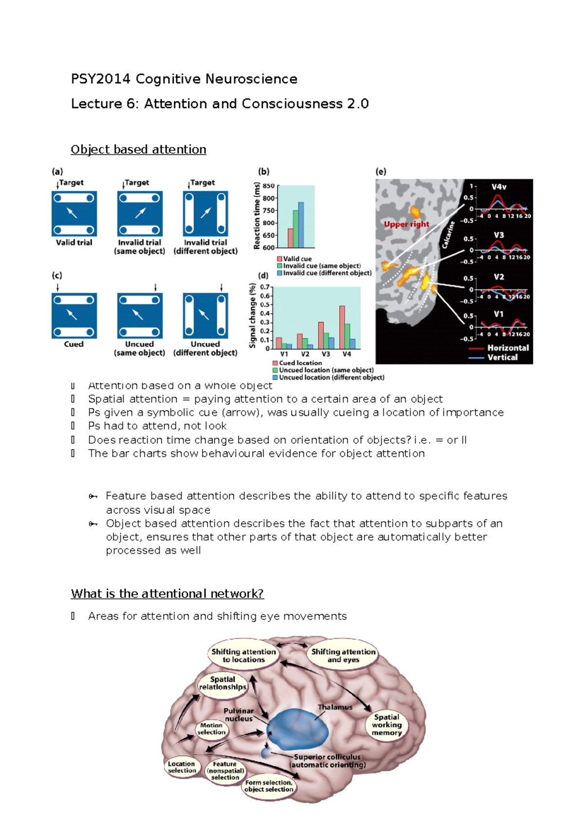 Cognitive Neuroscience: Attention and Consciousness 2.0 - PSY2014 ...