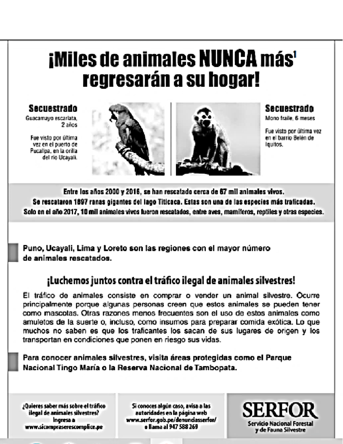 Afiche Trafico DE Animales 26 OCT - Complemento Matematico - Studocu