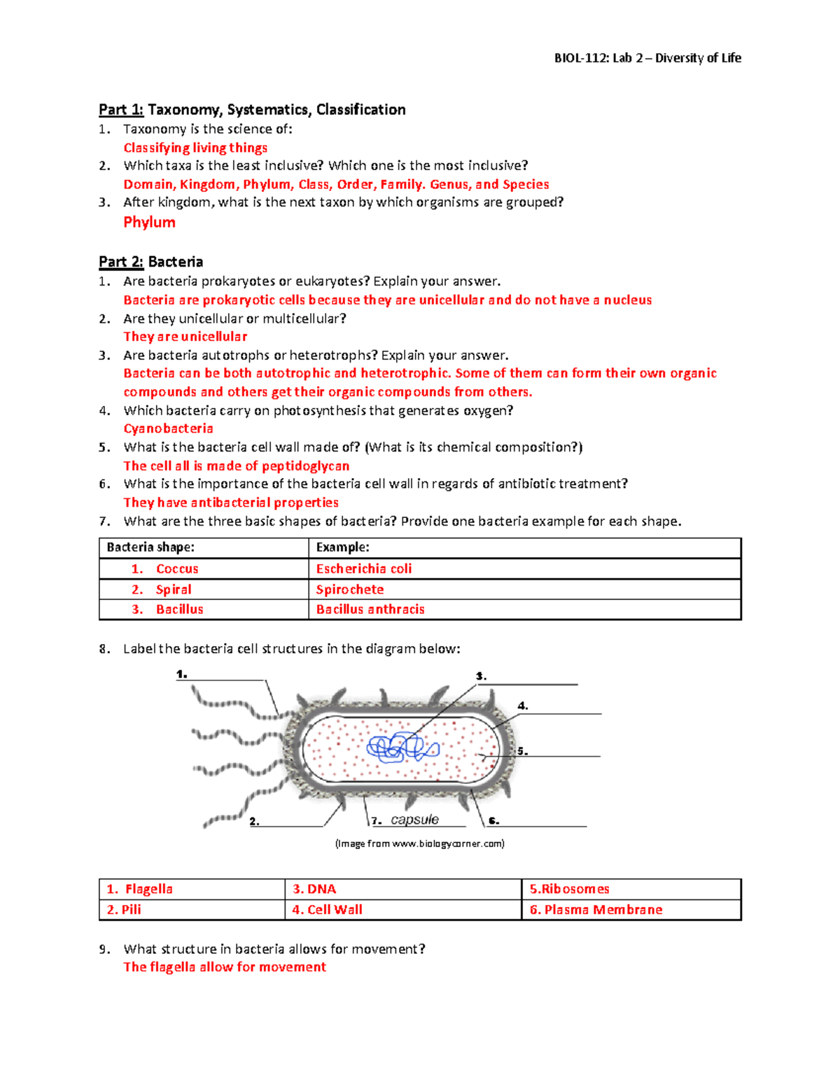 BIOL 112 Lab 2 Activity Worksheet Diversity Of Life Part 1 Taxonomy 