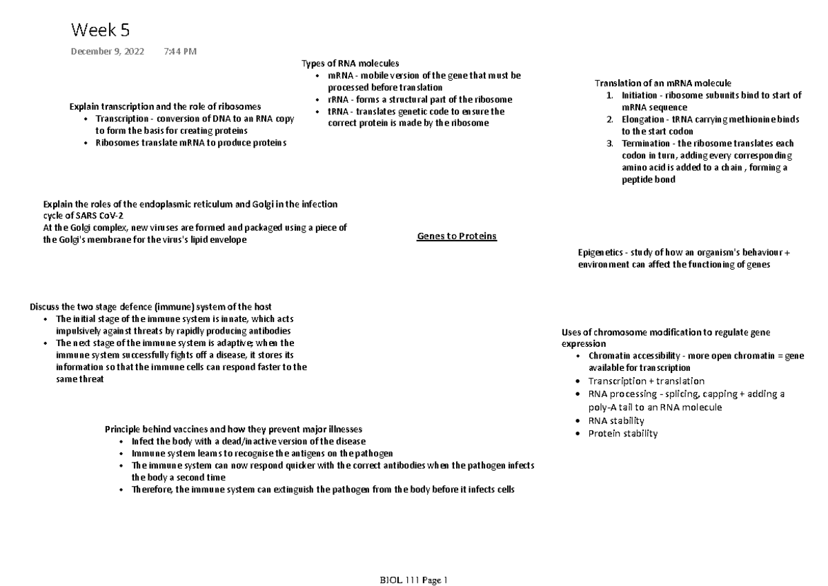 Week 5 - BIOL 111 Content - Genes to Proteins Explain transcription and ...