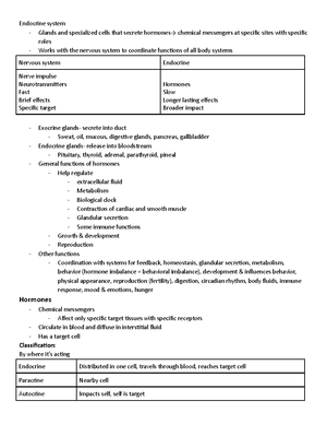 A P- Nervous system - Nervous Tissue Functions - Motor function ...