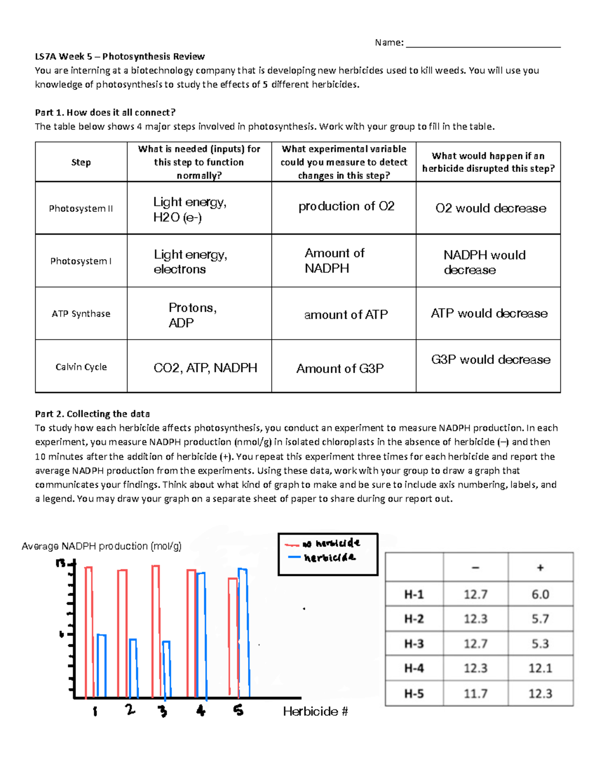 Week 5 Photosynthesis Review Worksheet - Name ...
