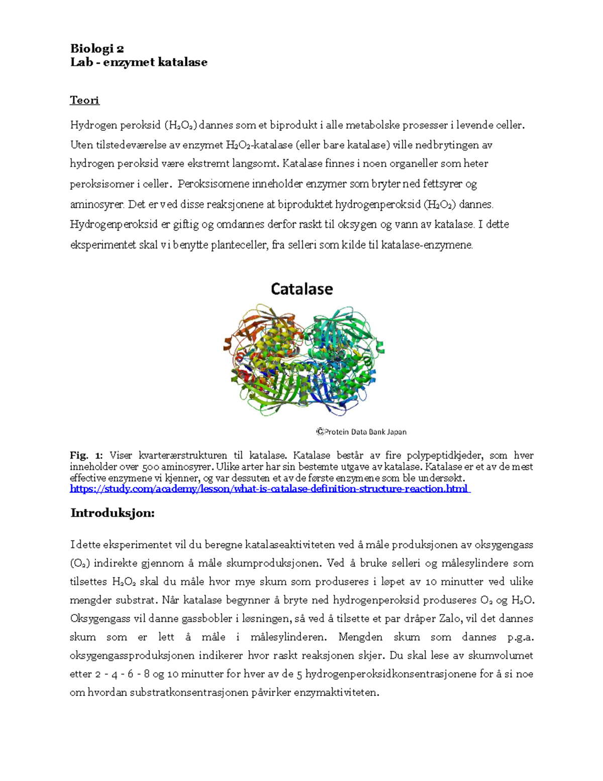 Enzymforsøk med katalase - Biologi 2 Lab - enzymet katalase Teori ...
