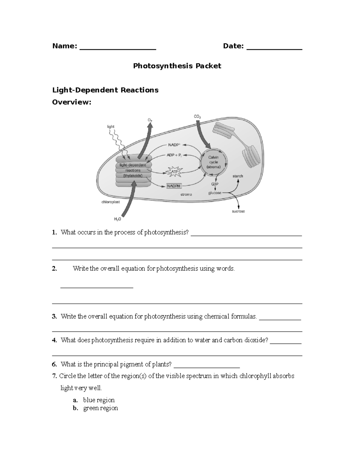 Photosynthesis Questions - Name: ______________________ Date ...
