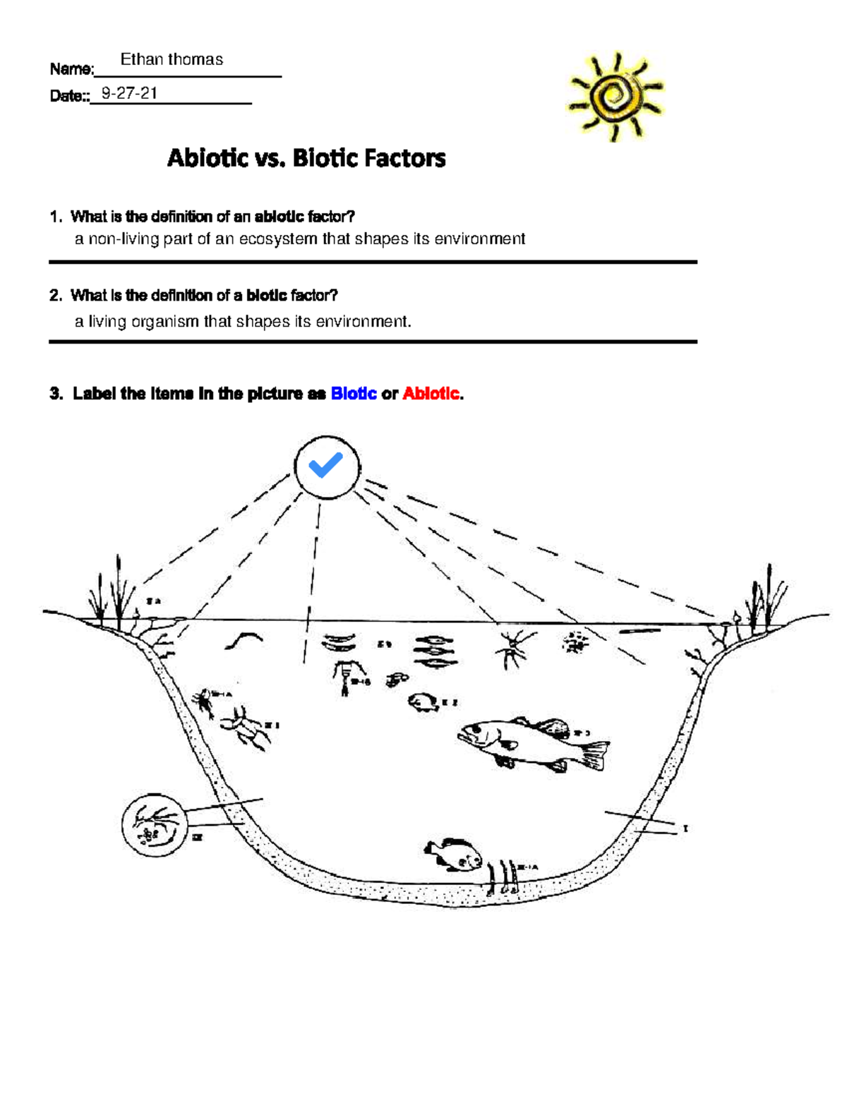 Abiotic vs. Biotic Factors PDF - Ethan thomas 9-27- a non-living part ...