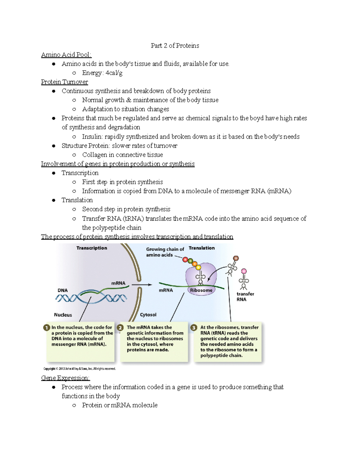 Part 2 of Proteins - Lecture Notes - Blackman Carr - Part 2 of Proteins ...