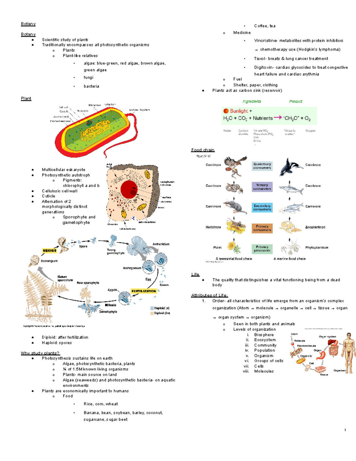 Botany for NMAT - Botany Botany Scientific study of plants ...