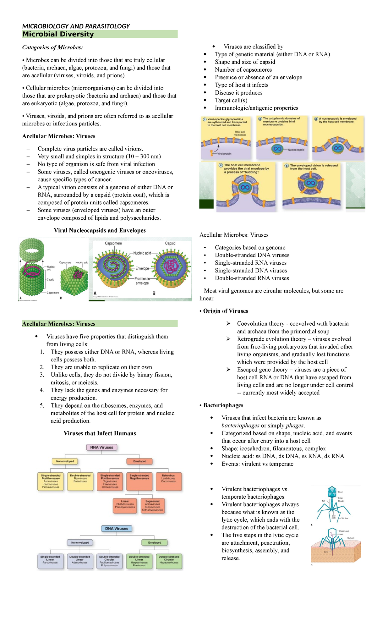 Microbial Diversity (1) - Microbial Diversity Categories of Microbes ...