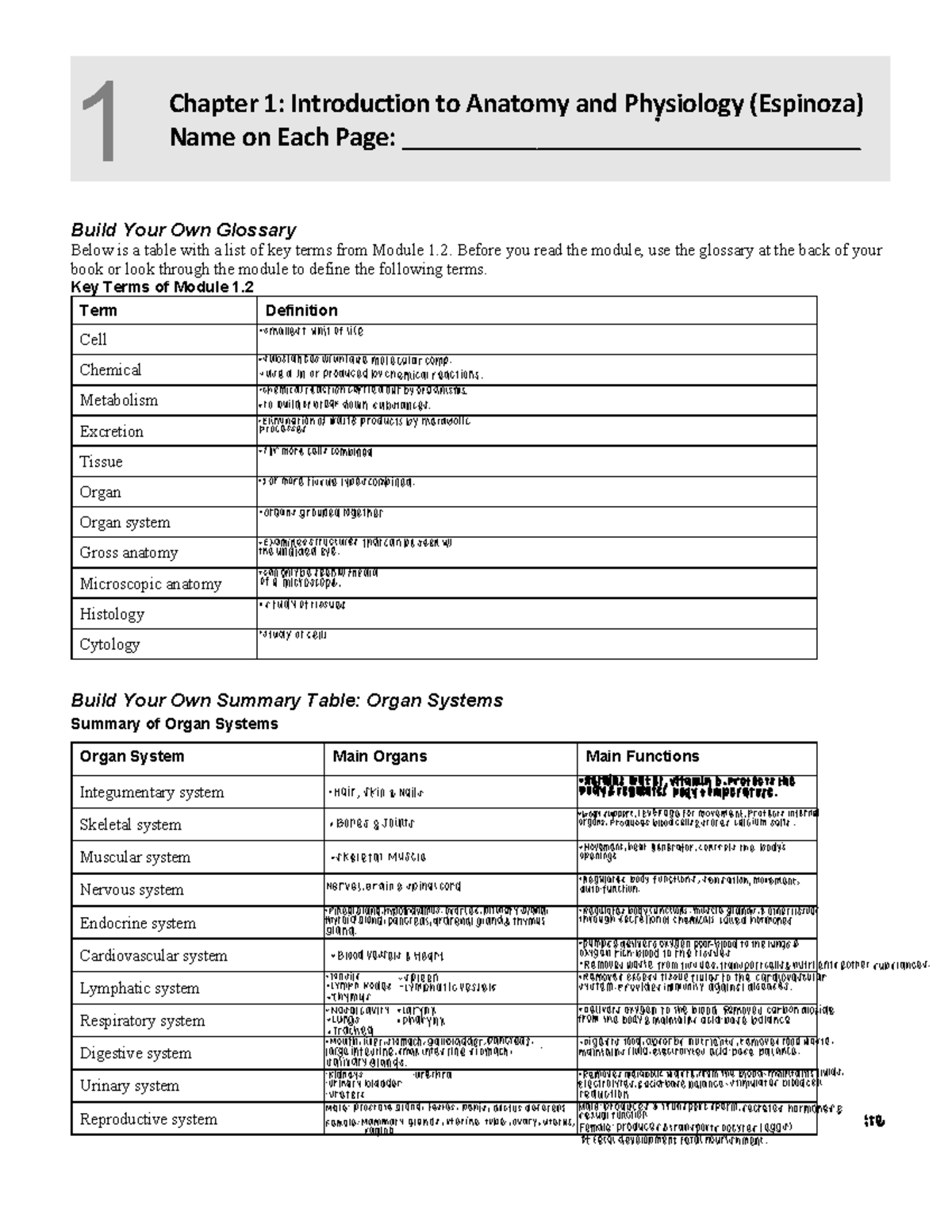 Chapter 1 Pg 1 Build Your Own Glossary Below Is A Table With A List