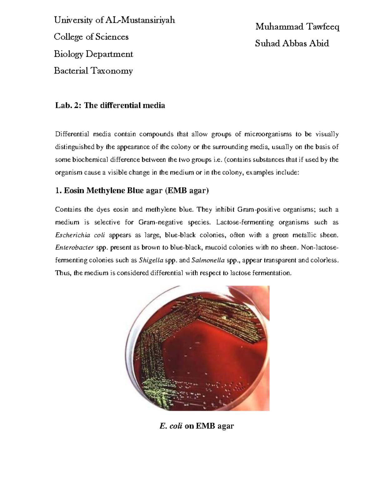 Bacterial Taxonomy 10 - Lab. 2: The differential media Differential ...
