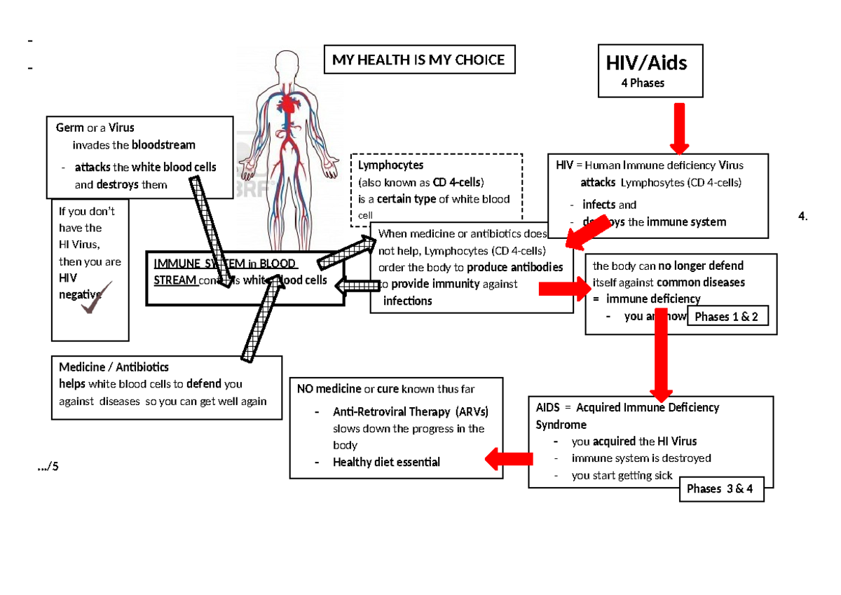 HIV - AIDS Mindmap - IMMUNE SYSTEM in BLOOD STREAM contains white blood ...