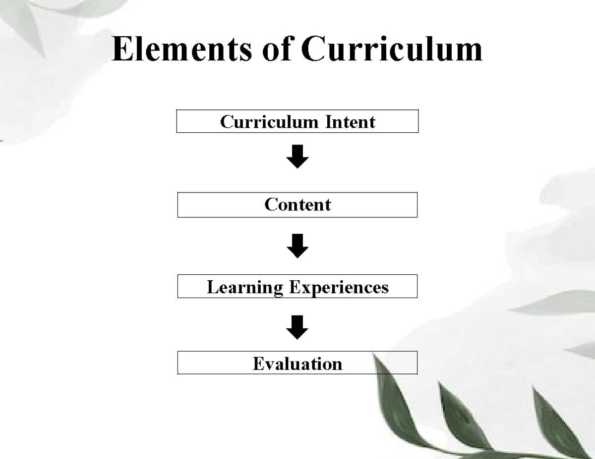 Elements of Curriculum - Elements of Curriculum Curriculum Intent ...