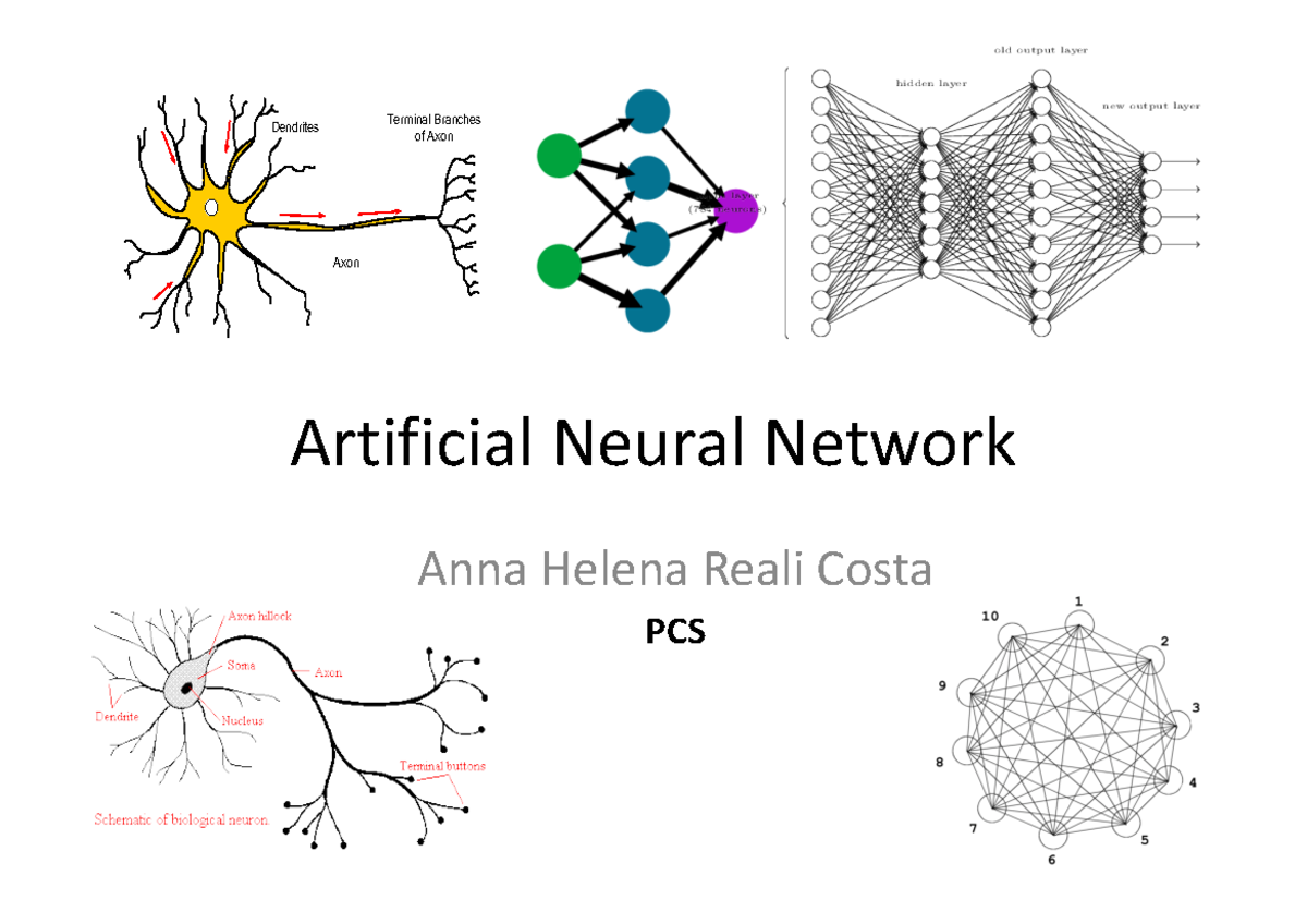 2019-ANN-DL - Artificial Neural Network Axon Terminal Branches of Axon ...