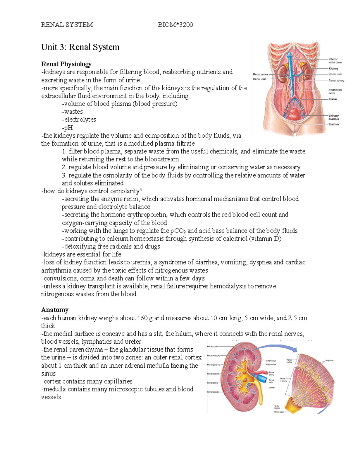 Unit 3-Renal System - BIOM 3200 - chapter and courselink notes - Unit 3 ...