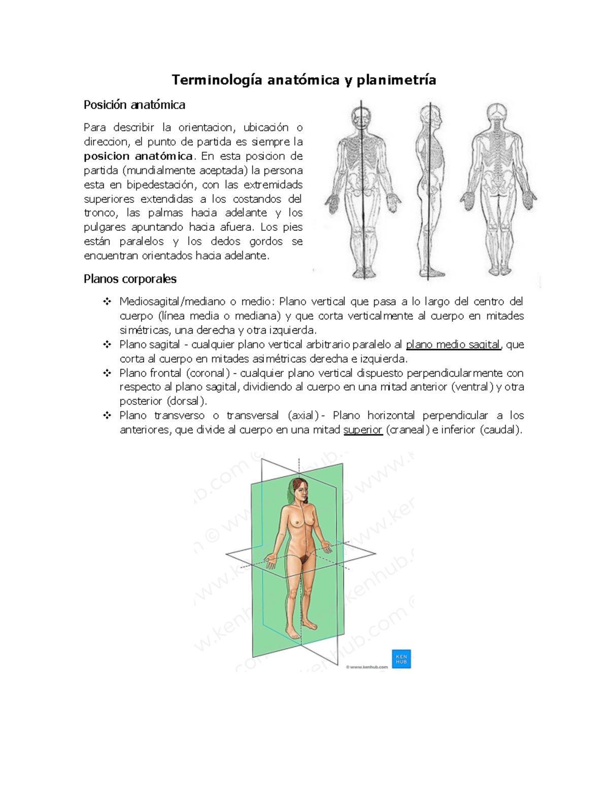 1.1 Terminología anatómica y planimetría - Terminología anatómica y ...