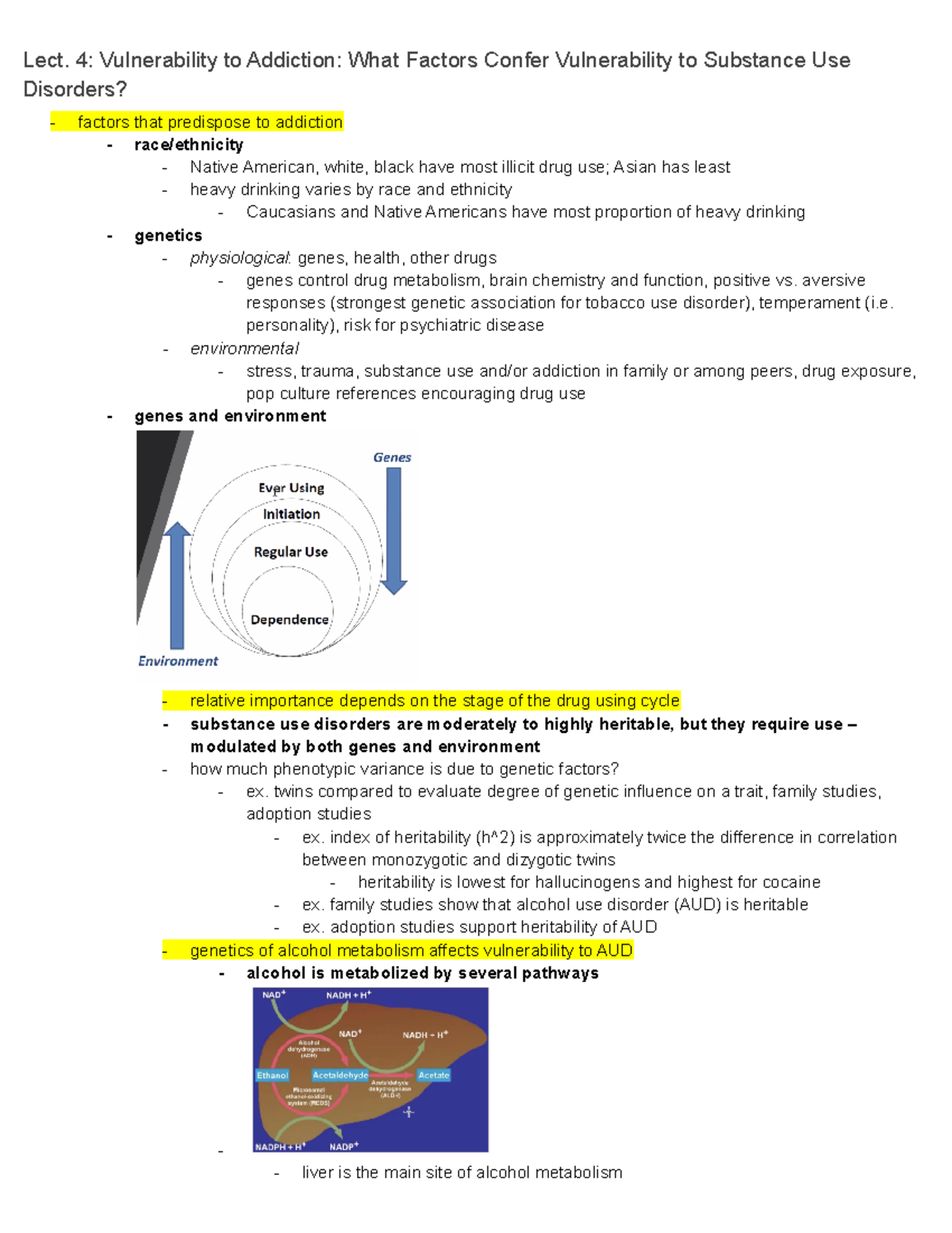 Neurosc C177 Lecture 4 Notes - Lect. 4: Vulnerability to Addiction ...