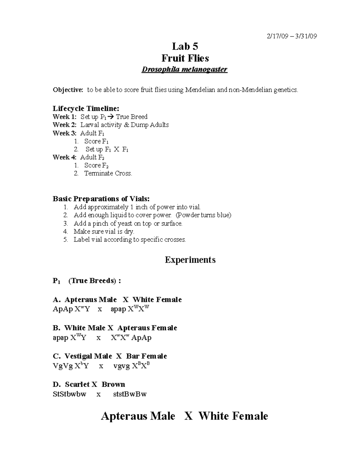Lab 5 - lab 5 of genetics lab - 2/17/09 – 3/31/ Lab 5 Fruit Flies ...