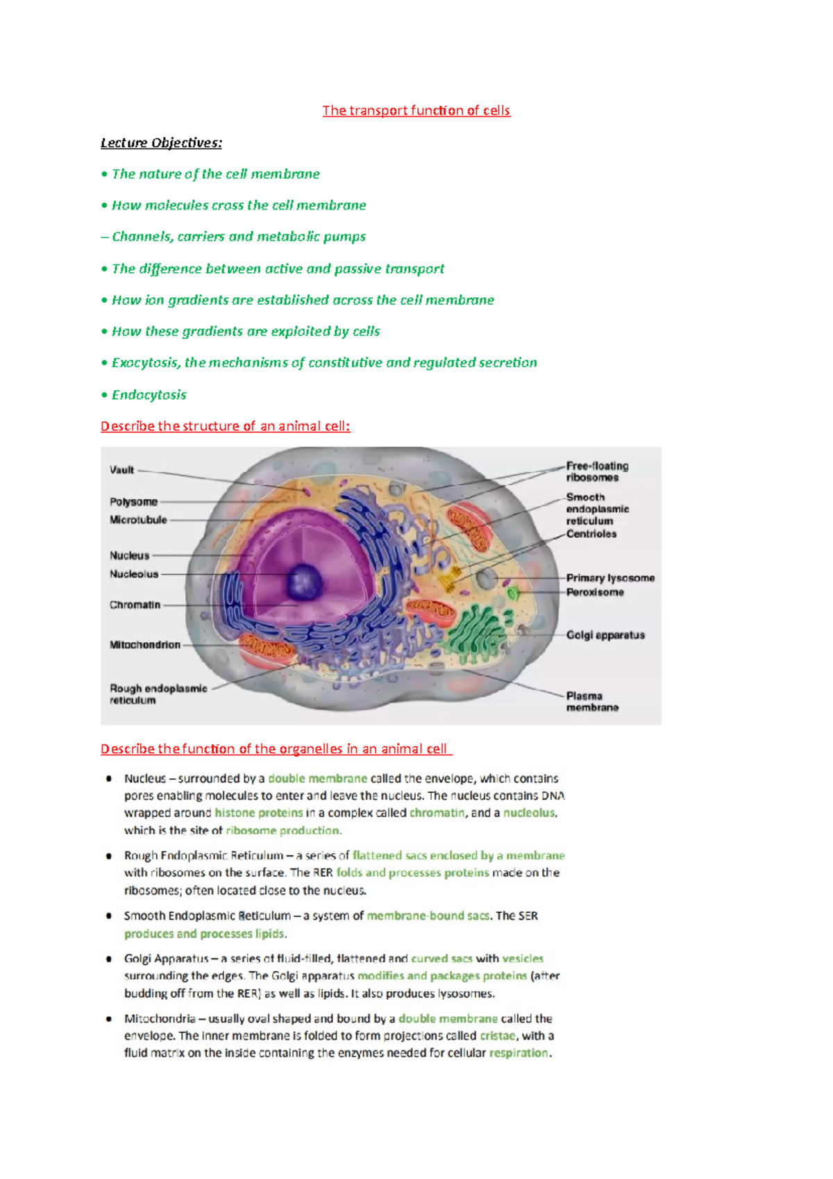 The transport function of cells - The transport function of cells ...