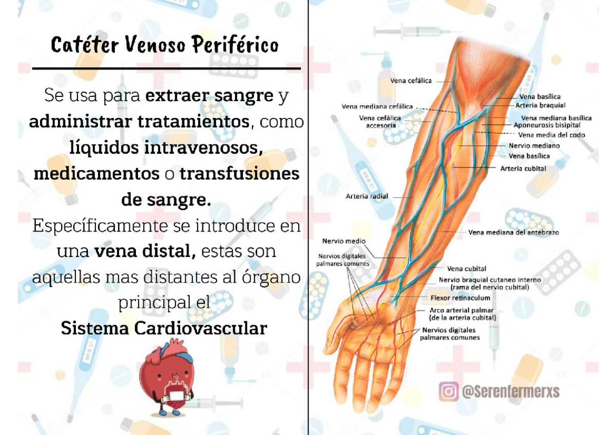 Cateter Venoso Periferico - Resumen - Práctica Profesionalizante - Studocu