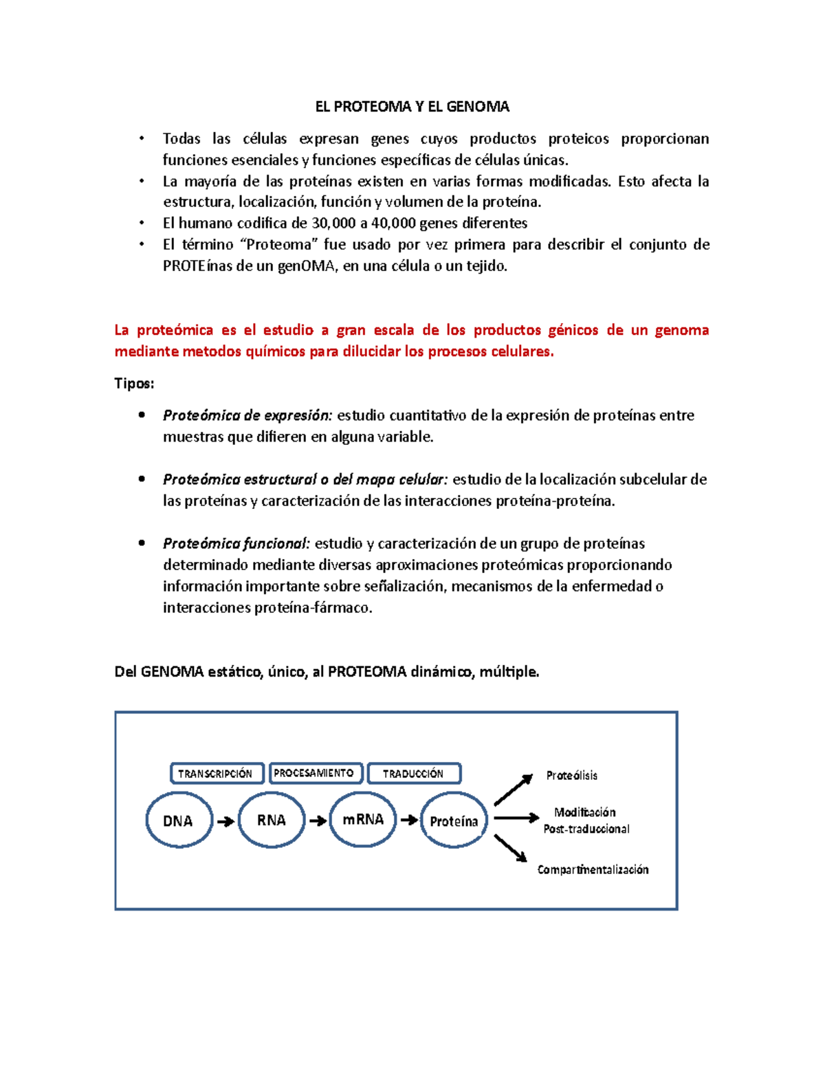 EL Proteoma Y EL Genoma p3 - EL PROTEOMA Y EL GENOMA Todas las células ...