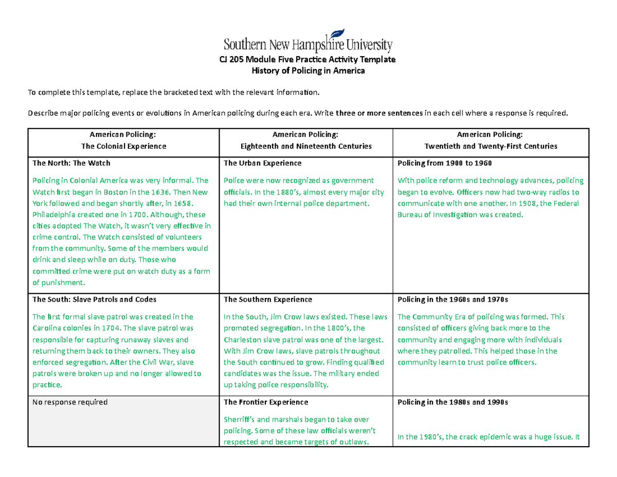 CJ 205 Module Five Practice Activity Template - CJ 205 Module Five ...