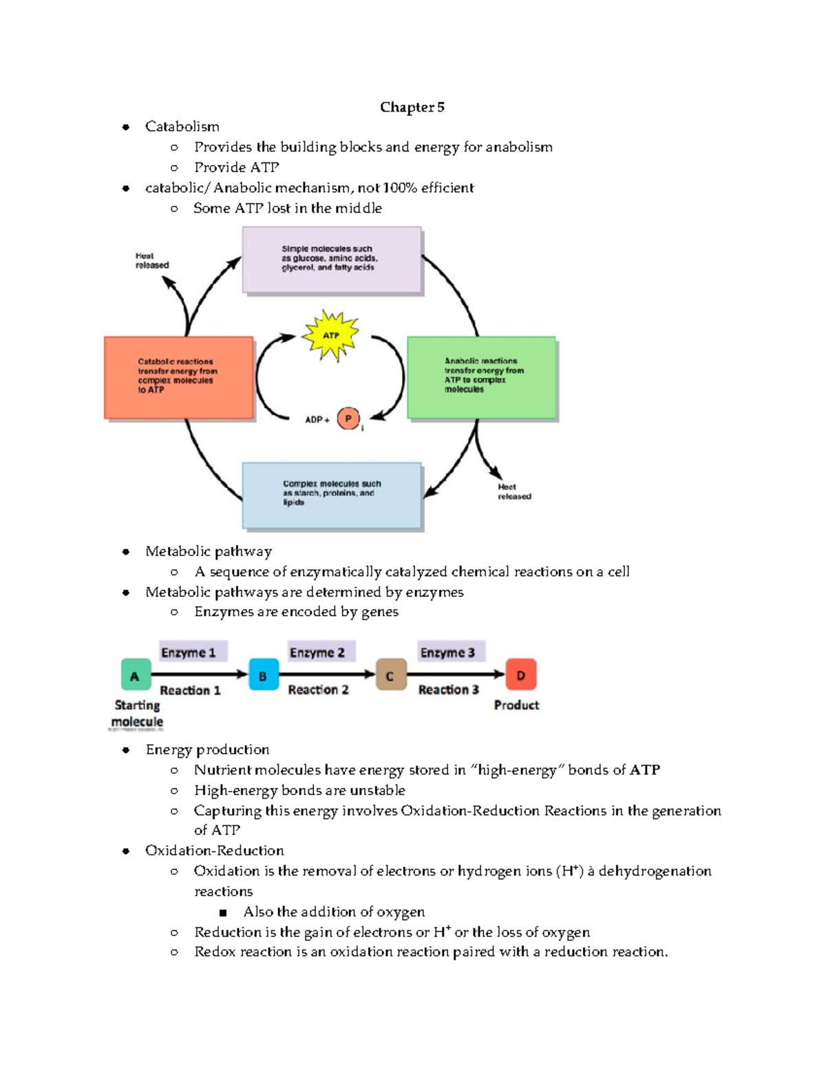 Micro ch5 - Lecture notes; ch.5 - **Chapter 5 ** Catabolism Provides ...
