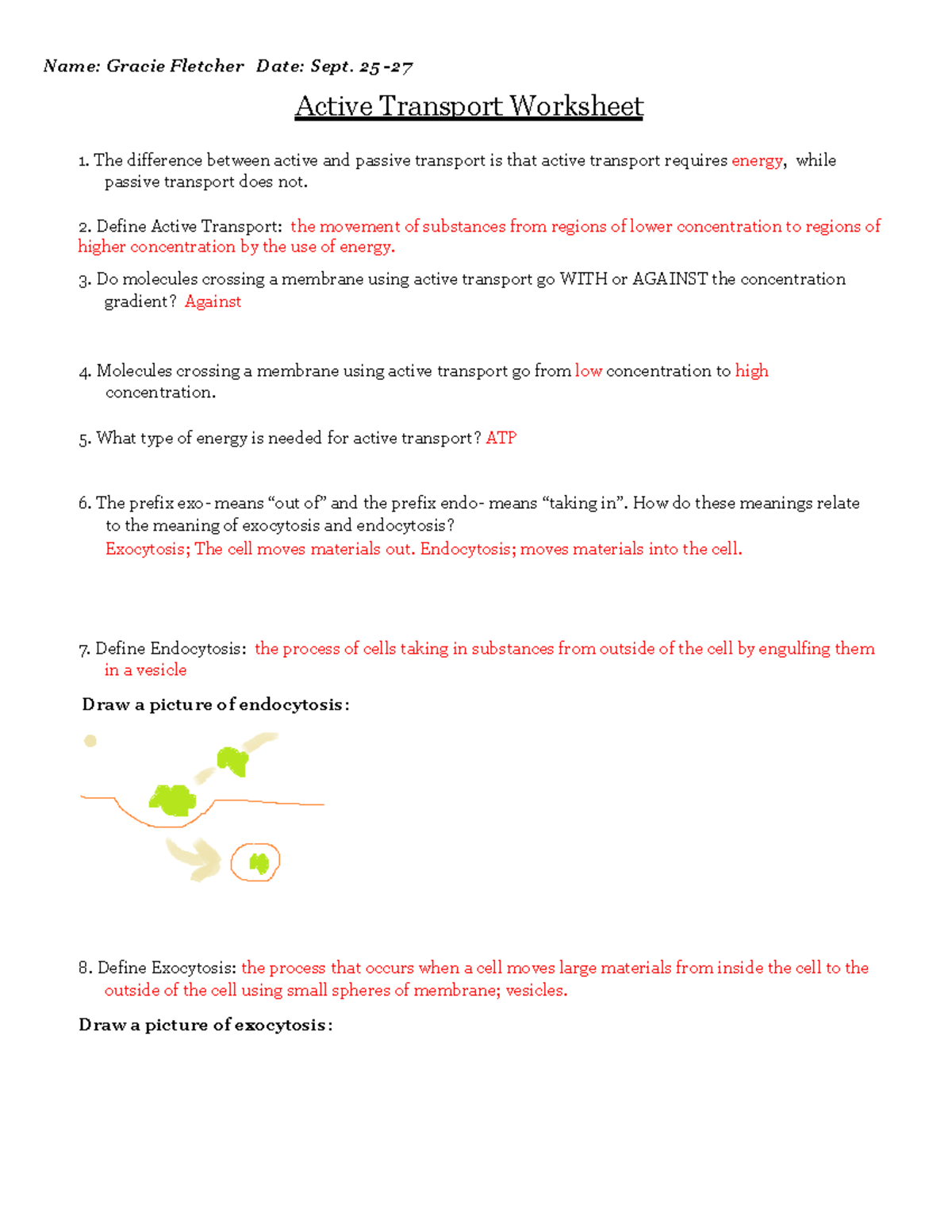 Active Transport Worksheet - Name: Gracie Fletcher Date: Sept. 25 ...