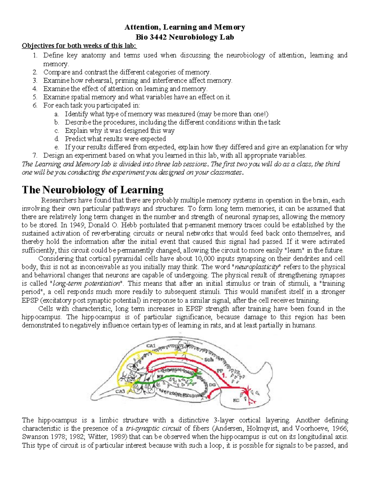 Lab 5a (week 1) - Attention^J Learning and Memory Sp 21 - Attention, Learning and Memory Bio ...