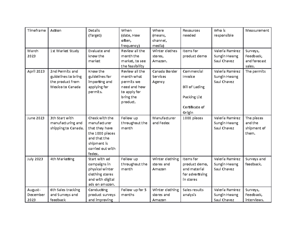 Action plan template - Timeframe Action Details (Target) When (date ...
