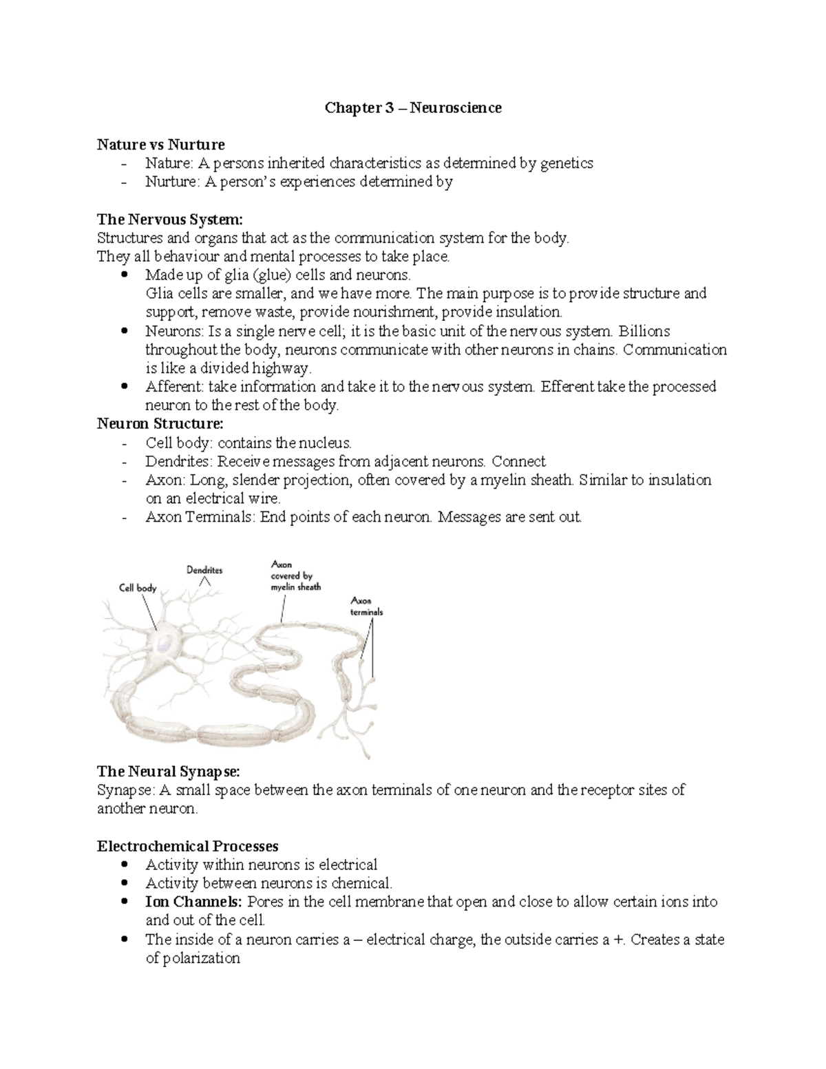Chapter 3 Lecture Notes - Chapter 3 – Neuroscience Nature vs Nurture ...