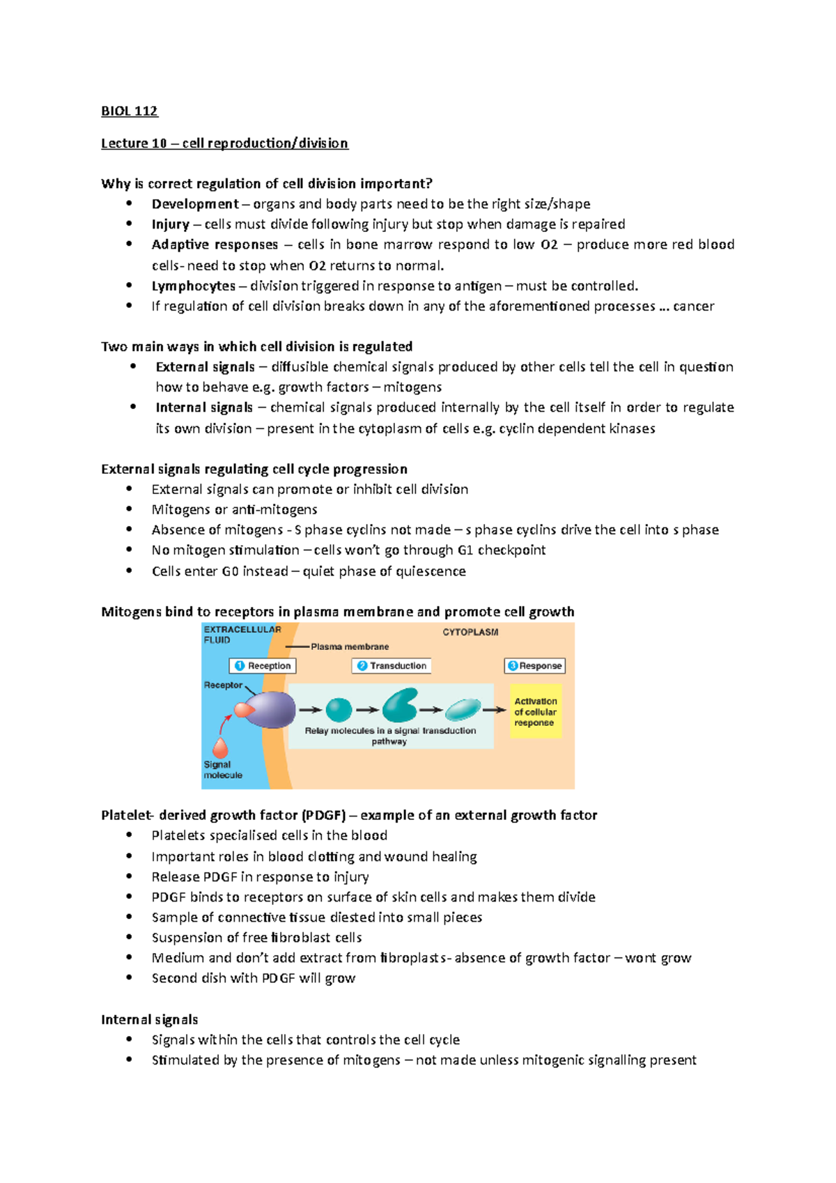 Lecture 10 - BIOL 112 Lecture 10 – cell reproduction/division Why is ...