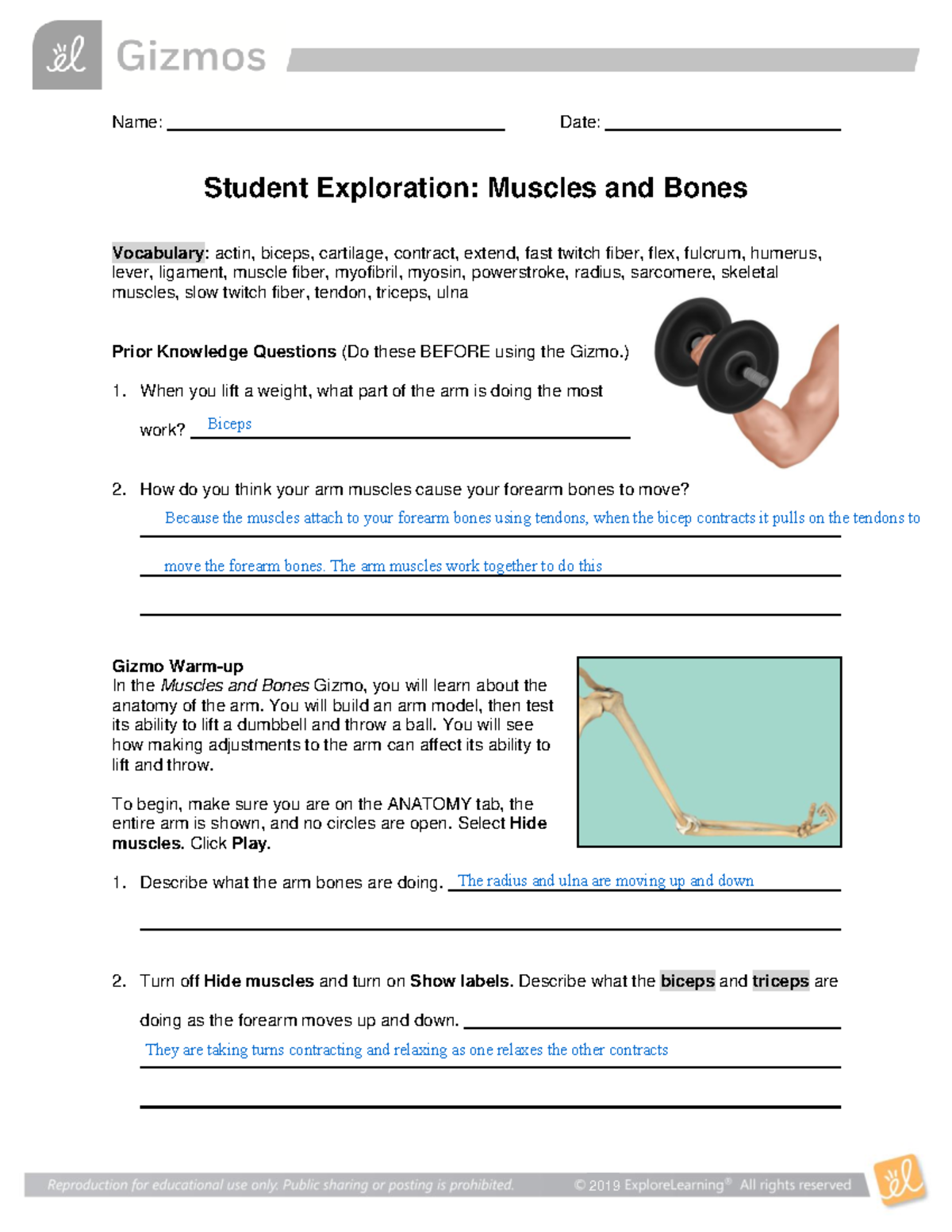 Kami Export - Muscle Bone Student Sheet - Name: Date: Student ...