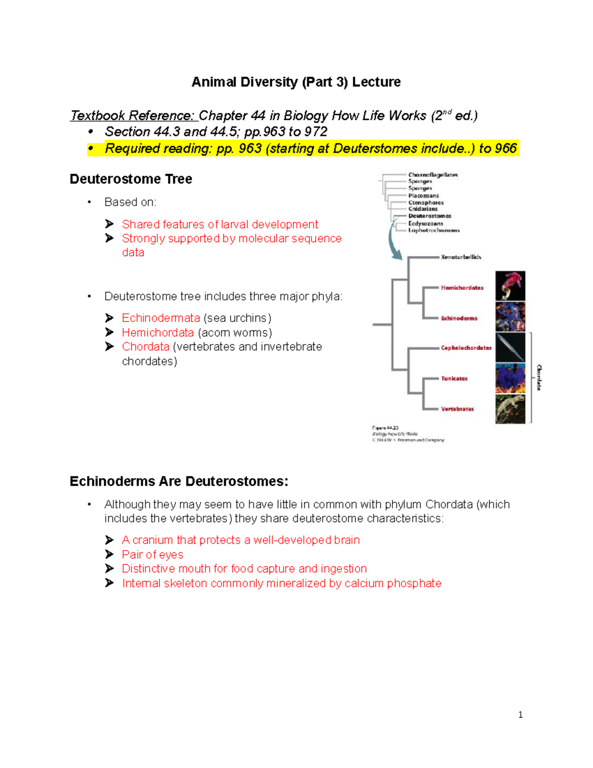 Lecture 10 - Animal Diversity (Part 3) Lecture Textbook Reference ...
