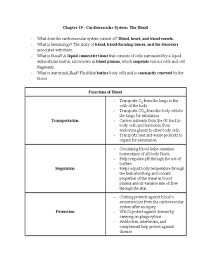 Case Study- The Rise of German Power - Case Study: The Rise of German ...