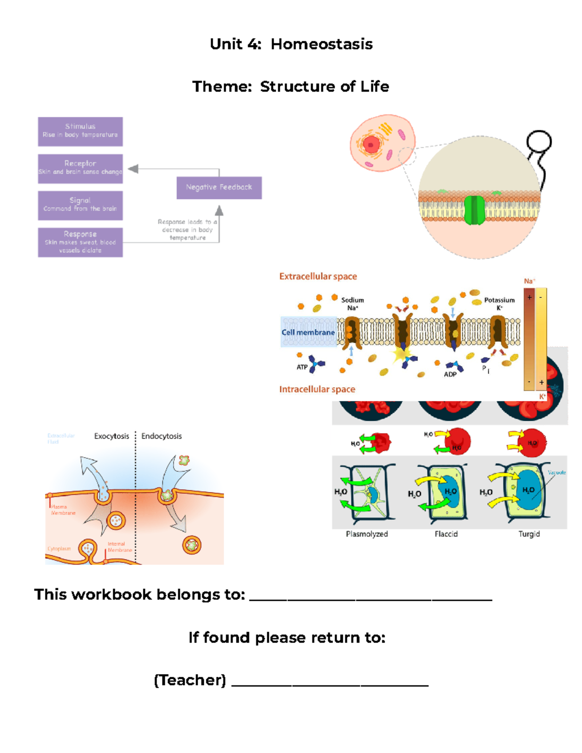 Unit 4 Homeostasis - Unit 4: Homeostasis Theme: Structure of Life This ...
