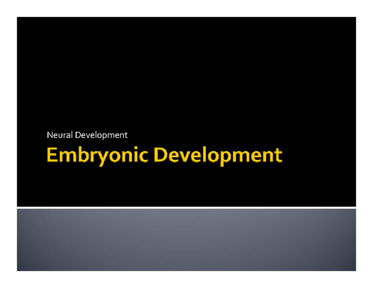 Embryonic Development - Neural Development Stages off Embryonic ...