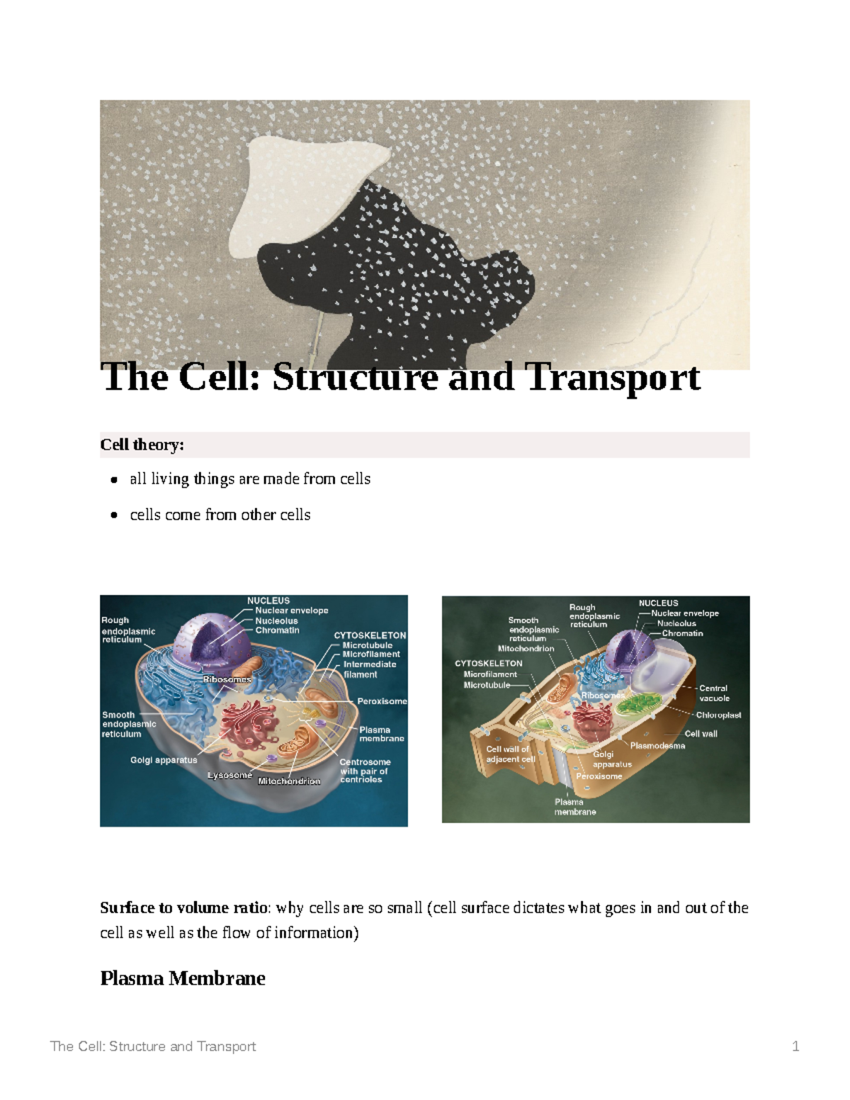 The Cell Structure and Transport - Studocu