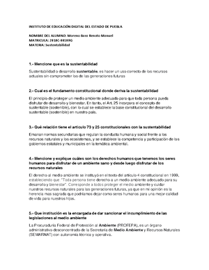 Test HTP - Manual para poder revisar el Test de HTP - Test HTP “Dibujo ...