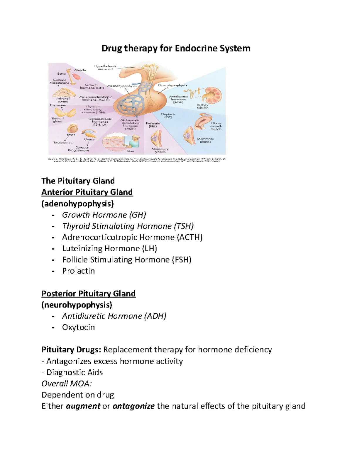 Drug therapy for Endocrine System - induce changes in the metabolic ...