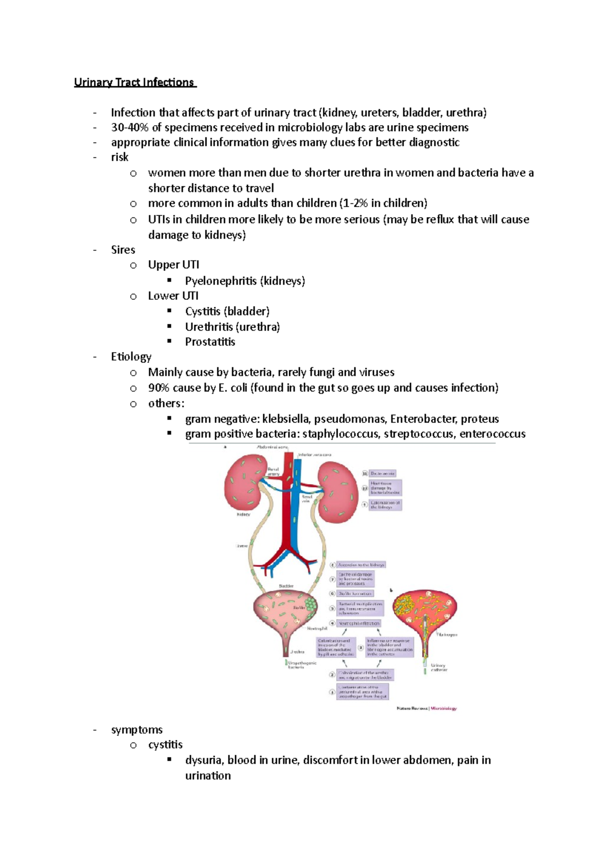 Inflammation - W7 Urinary Tract Infections - Urinary Tract Infections ...