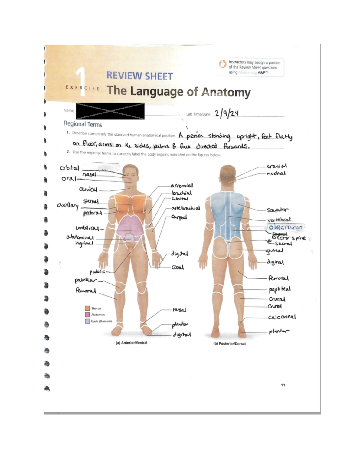 Bio 137 HW 1 - graded - hw for prof atmo - BIO 137 - 3-proximal 6 ...