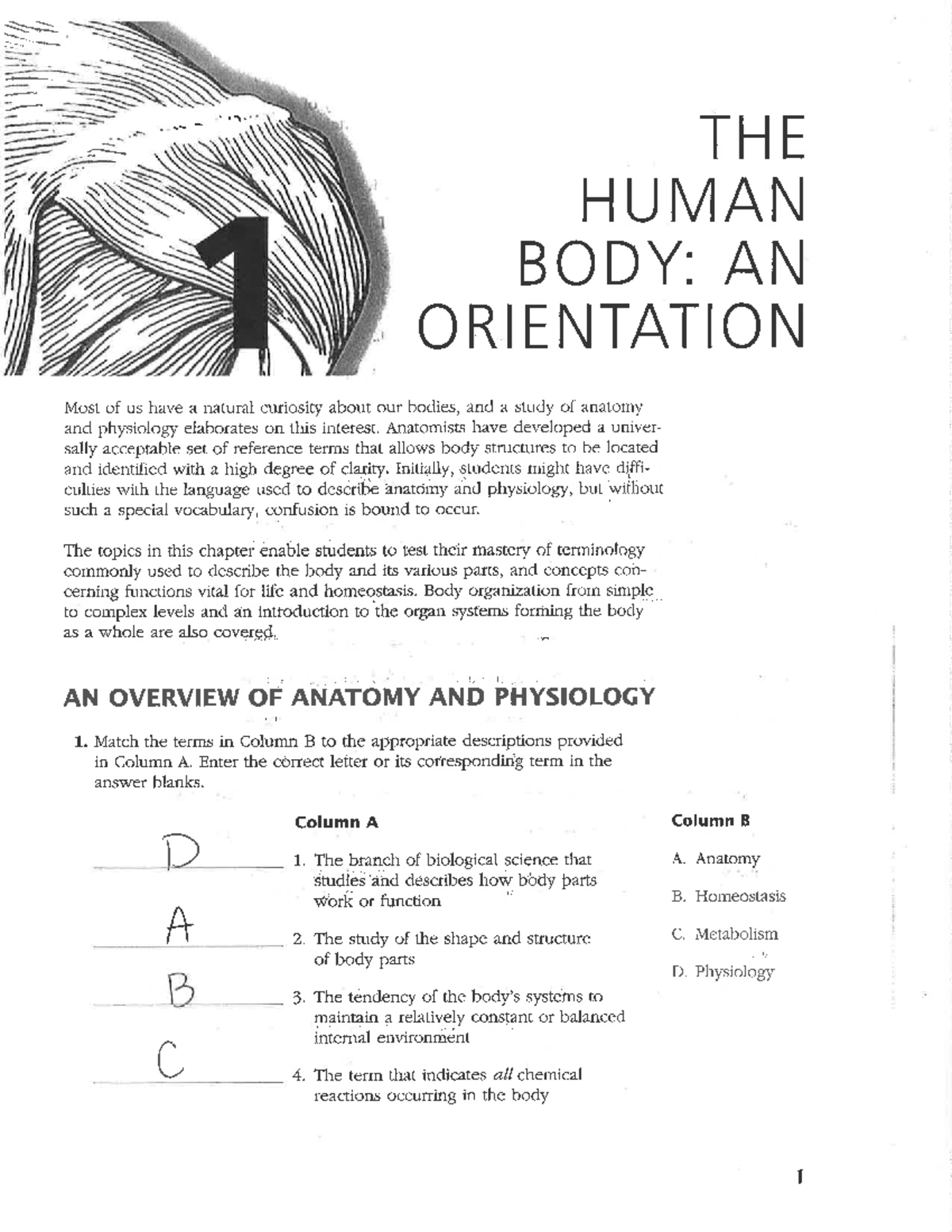 Packet-answers - practice test - THE HUMAN BODY: AN ORIENTATION Most of ...