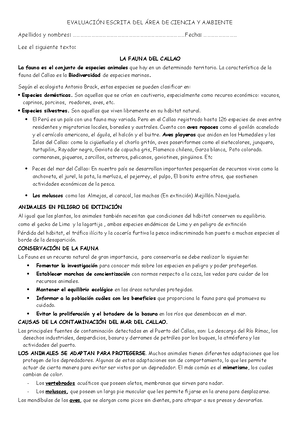 Ficha- Fecha Cívica-DÍA DE LA Familia Peruana- Jezabel Camargo ...