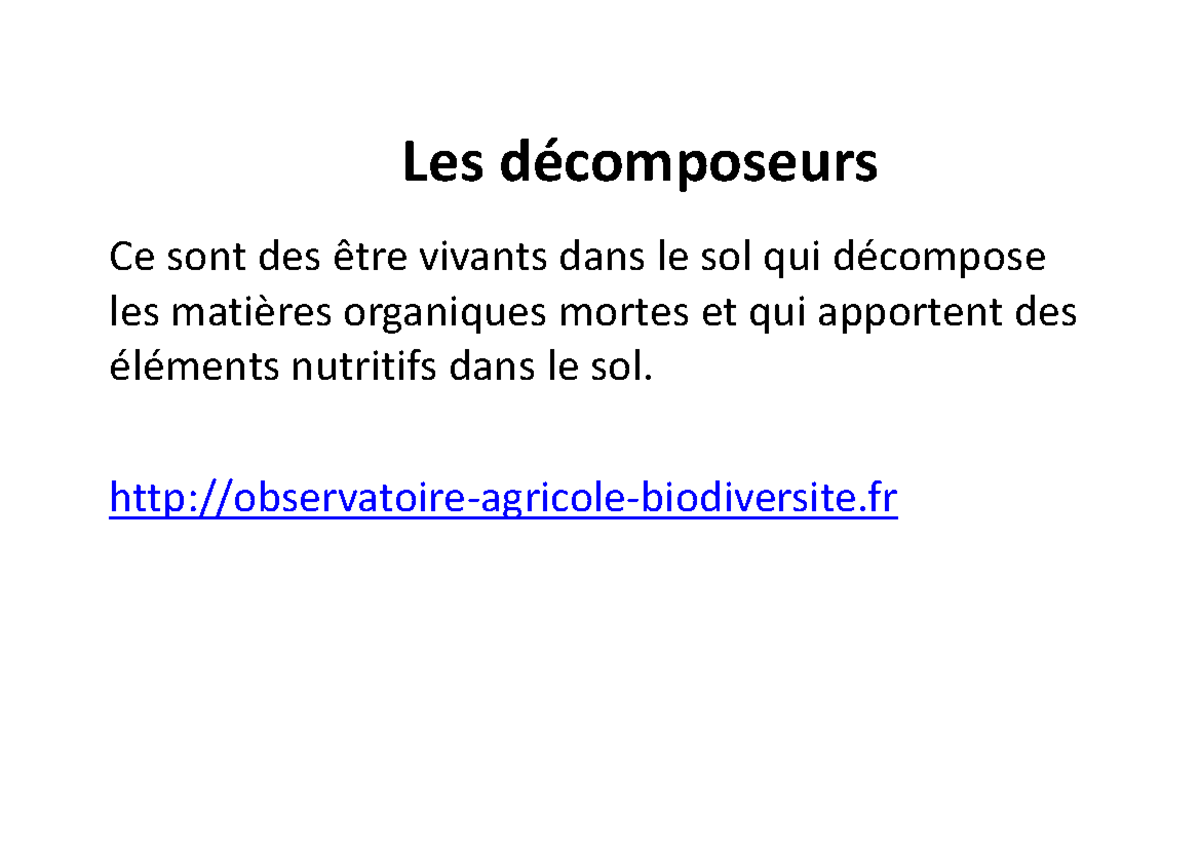 Présentation des décomposeurs BAC PRO Horticole - Les décomposeurs Ce ...